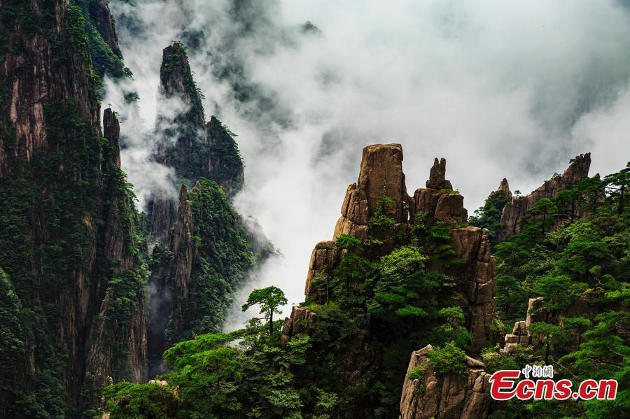 Mount Huangshan reveals stunning beauty after rain