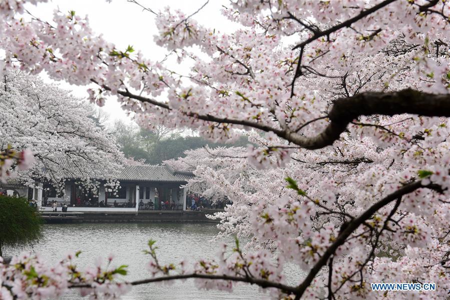 Scenery of Yuantouzhu scenic spot of Taihu Lake in Wuxi