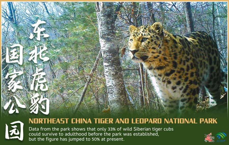 Northeast China Tiger and Leopard National Park at a glance