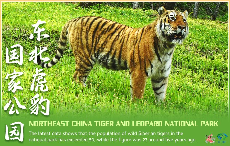 Northeast China Tiger and Leopard National Park at a glance