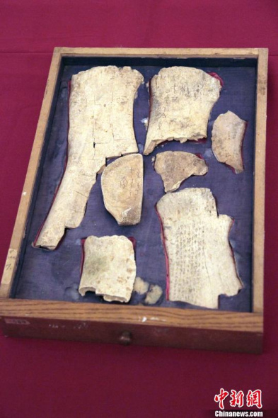 New discoveries in Chinese oracle bones - Headlines, features, photo ...