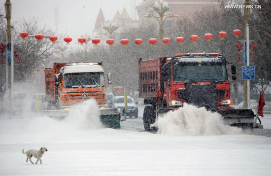 Cold front brings strong gales, temperature drops to north China