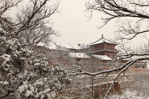 Peace of mind - Headlines, features, photo and videos from ecns.cn