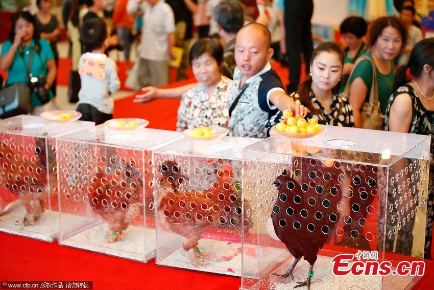 Chicken 'beauty pageant' held in C China city(1/4) - Headlines ...