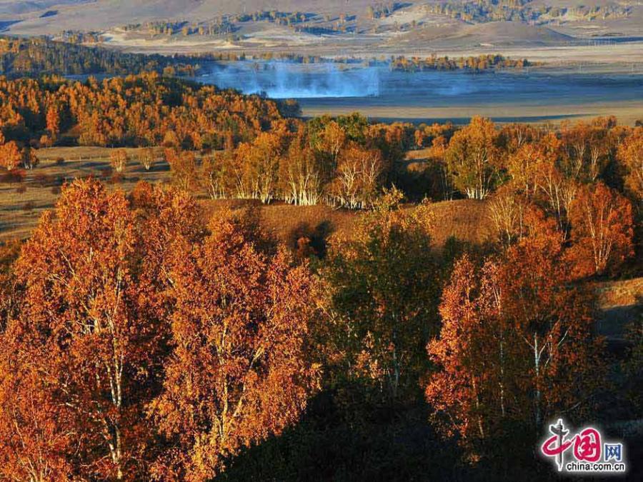Photographing Bashang grasslands in autumn(7/8) - Headlines, features ...