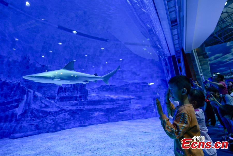 New shark pavilion opens in Beijing Aquarium(2/7) - Headlines, features ...