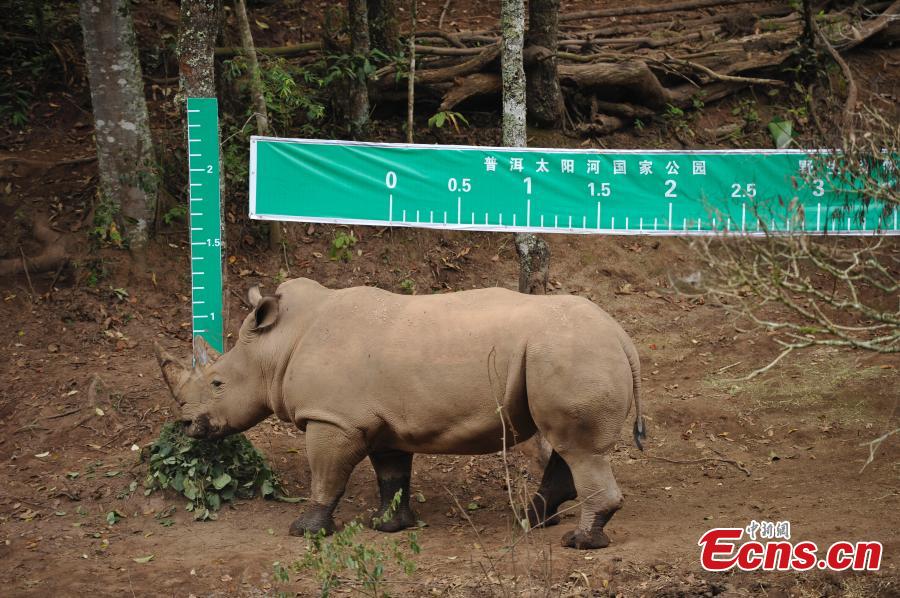 How do animals measure up? (5/7) - Headlines, features, photo and ...