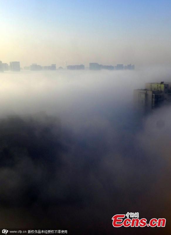 Heavy fog turns Shenyang 'fairyland'(1/4) - Headlines, features, photo ...