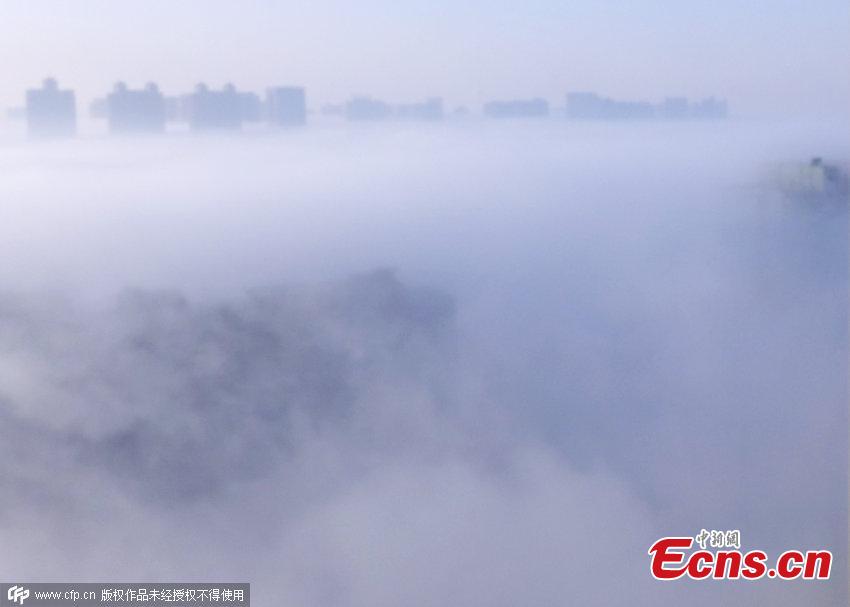 Heavy fog turns Shenyang 'fairyland'(1/4) - Headlines, features, photo ...