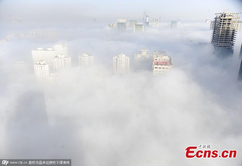 Heavy fog turns Shenyang 'fairyland'(1/4) - Headlines, features, photo ...