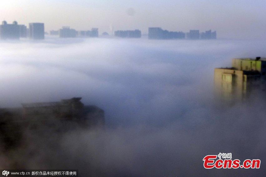 Heavy fog turns Shenyang 'fairyland'(1/4) - Headlines, features, photo ...