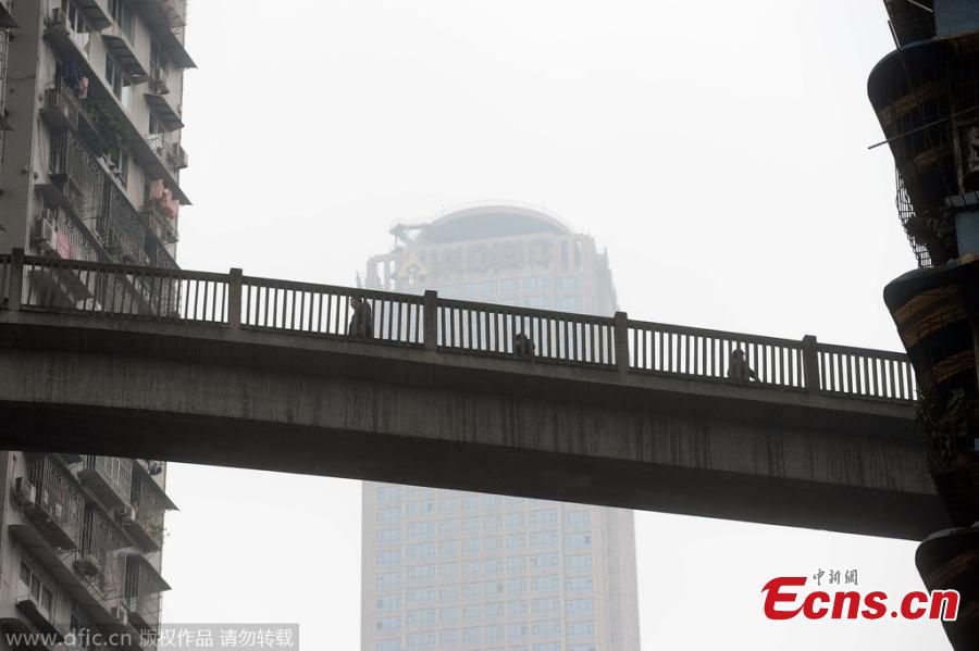 Chongqing's 40-meter-high pedestrian bridge becomes online hit (4/4 ...