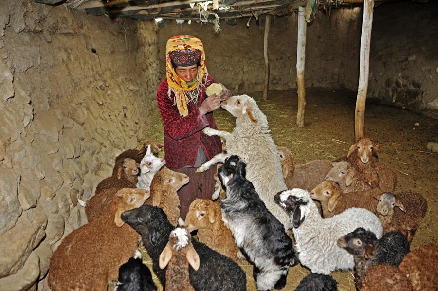 Ethnic Tajik life through the lens of a solider (Part II)(11/16 ...