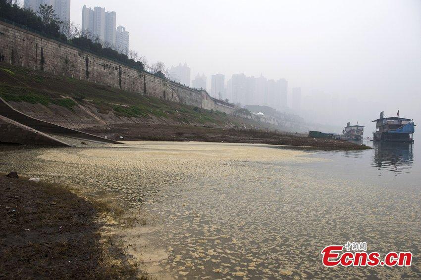 Septic tank waste pollutes Yangtze River in Chongqing(1/4) - Headlines ...