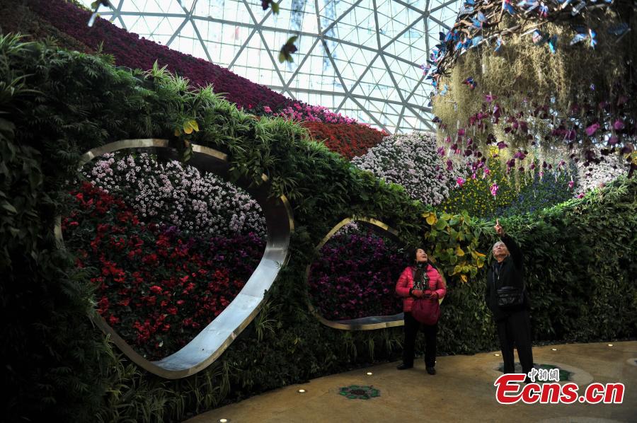A colorful world of 8 million flowers in Kunming(8/8) - Headlines ...
