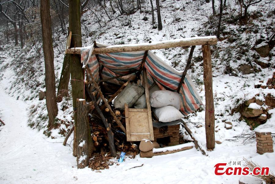 'Crazy' Zhongnan hermit lives a simple life(1/9) - Headlines, features ...