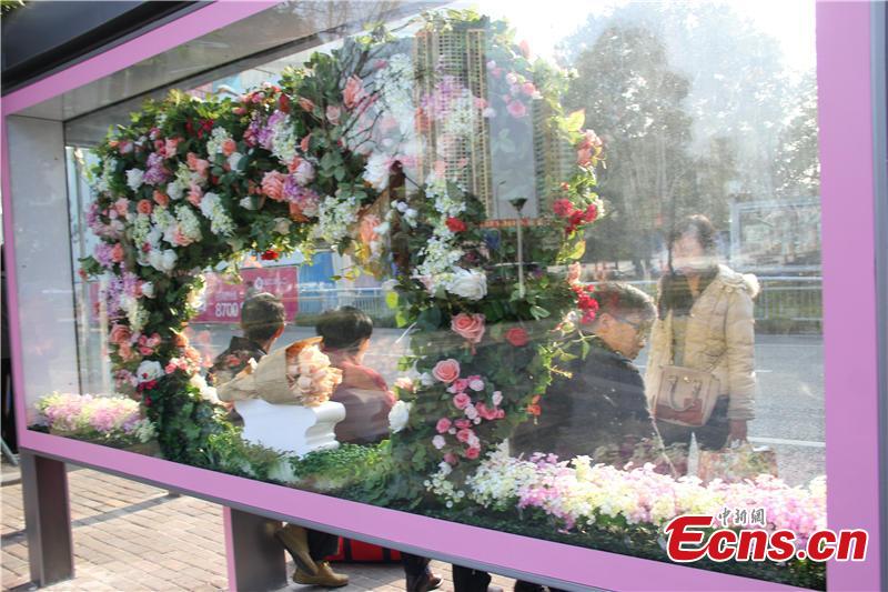 Fake flowers decorate bus stop for Valentine's Day (5/7) - Headlines ...