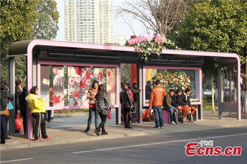 Fake flowers decorate bus stop for Valentine's Day (7/7) - Headlines ...