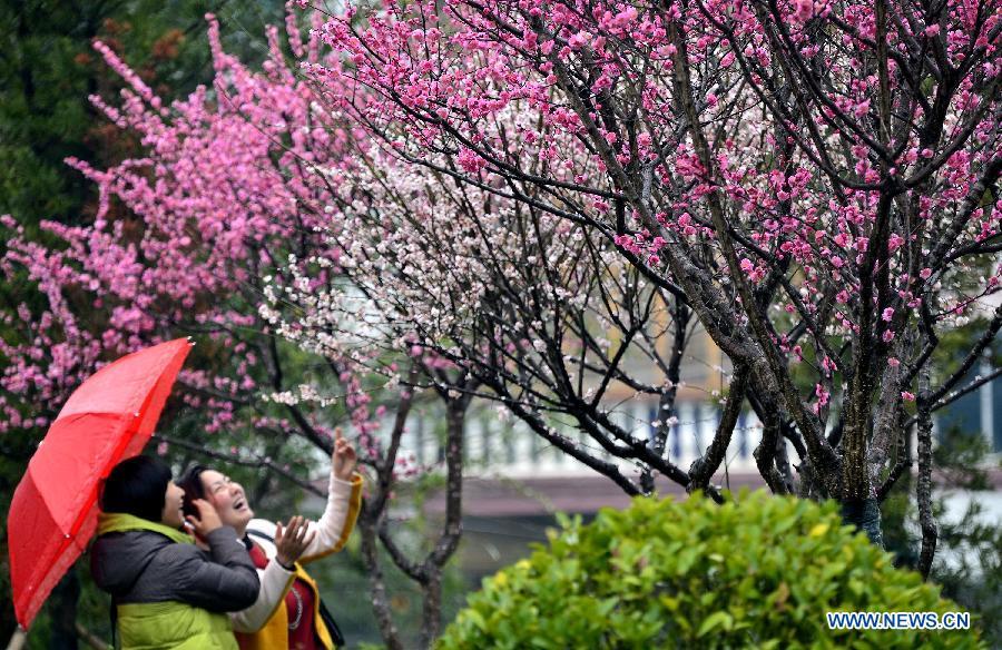 Beautiful sceneries of early spring flowers around China (1/6 ...