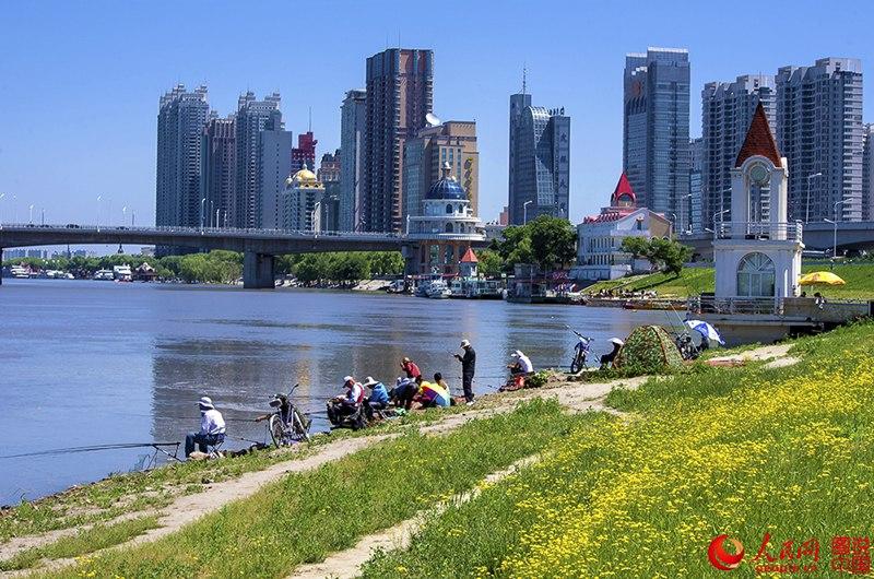 Charming Harbin in summer(1/7)