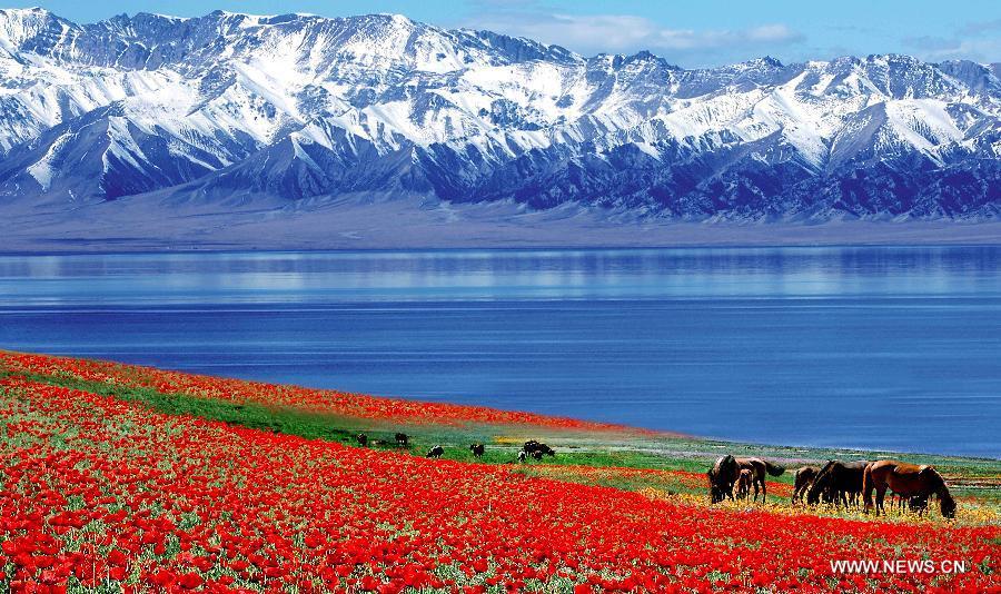 Breathtaking scenery of Xinjiang(1/5)