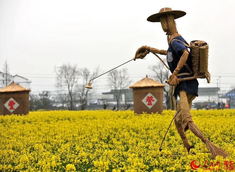 Scarecrows in E China scare birds but entertain humans(1/10)
