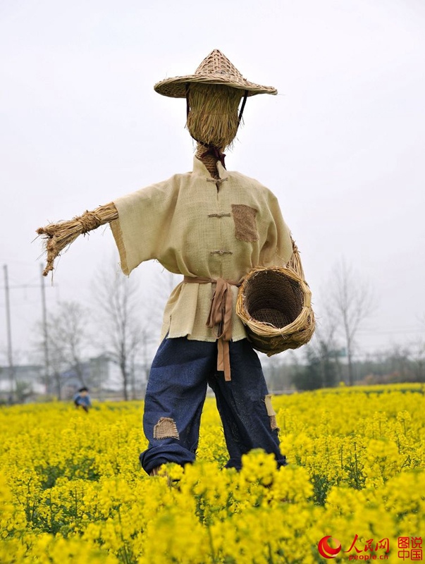 Scarecrows in E China scare birds but entertain humans(1/10)
