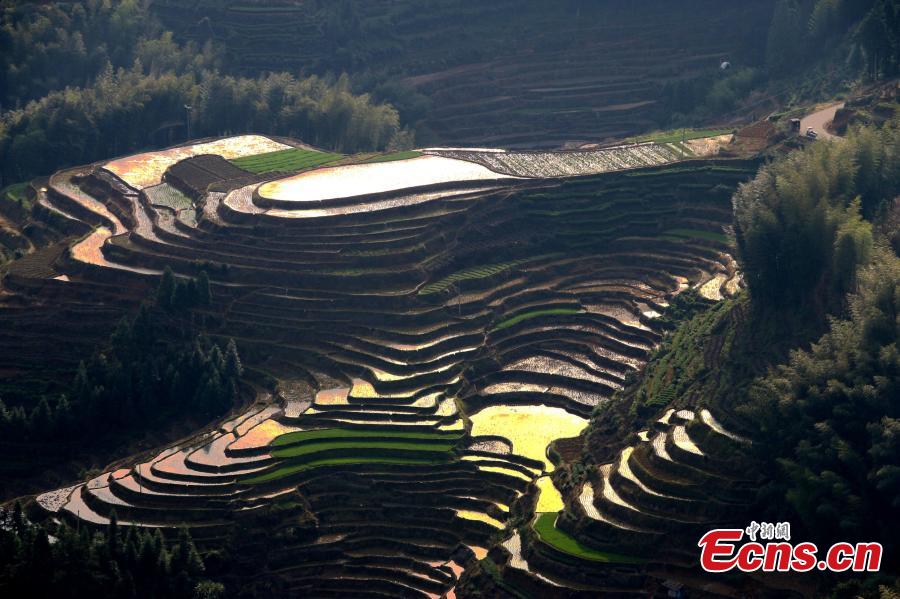 Terraced fields form beautiful landscape in East China town