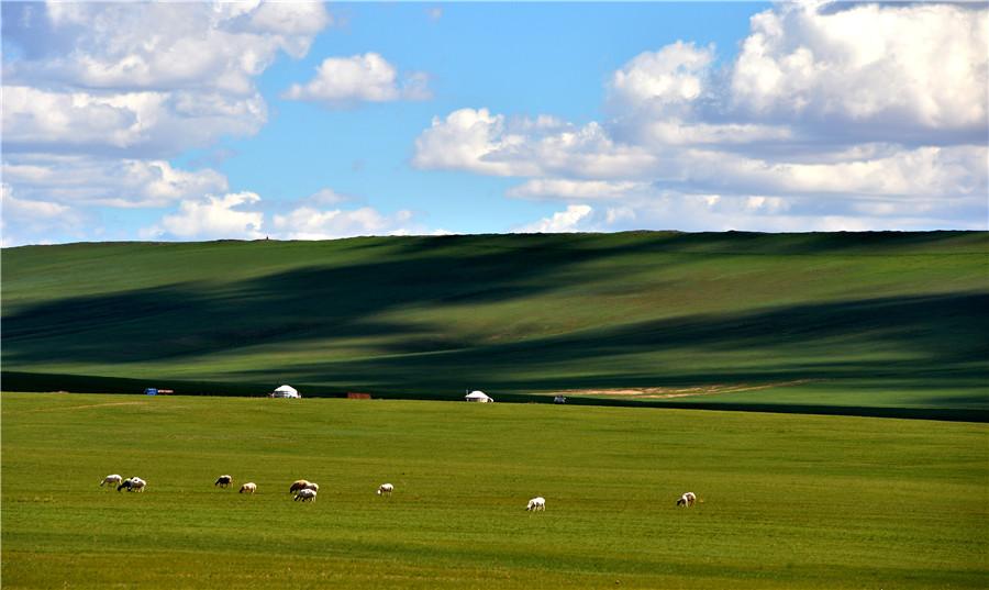 Summer scenery of Xilingol Grassland in Inner Mongolia(1/6)