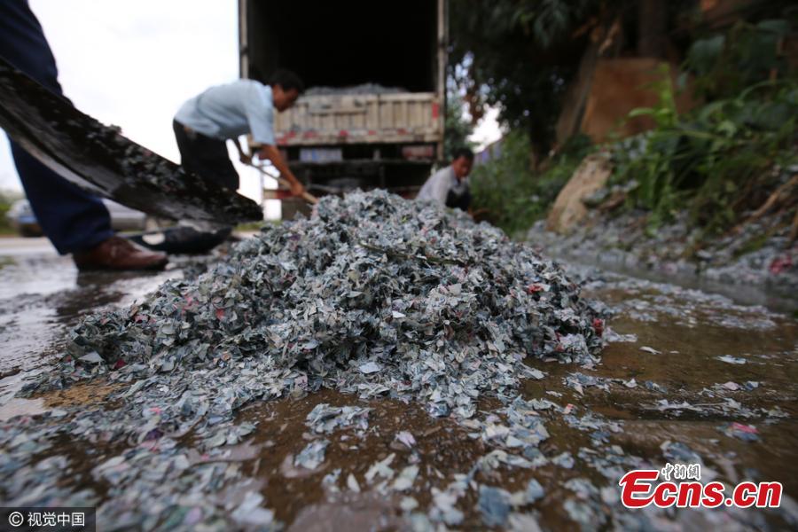 Shredded banknotes cause sensation on road to power plant(1/4)