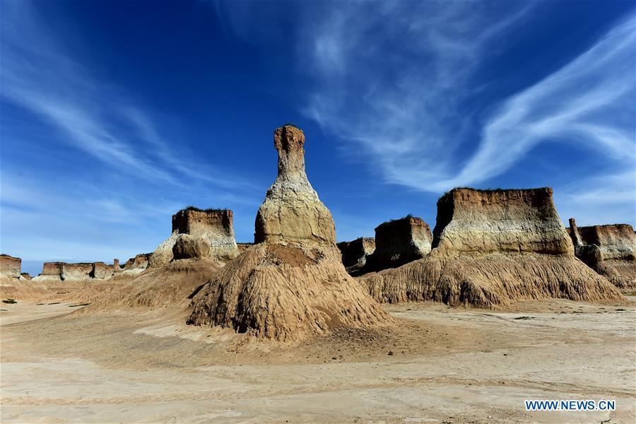 'Soil forest' in Datong County of Shanxi(1/4)