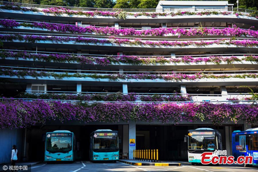 Most beautiful parking lot seen in South China city(3/4)