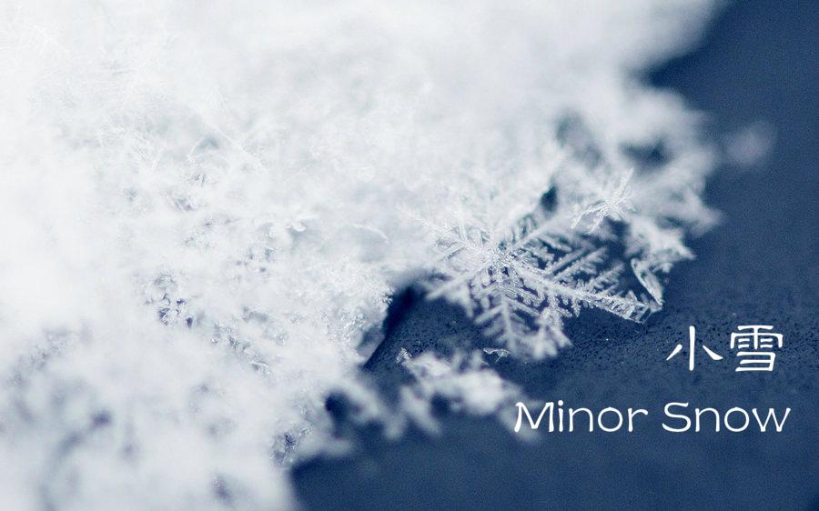7 things you may not know about Minor Snow(1/7)