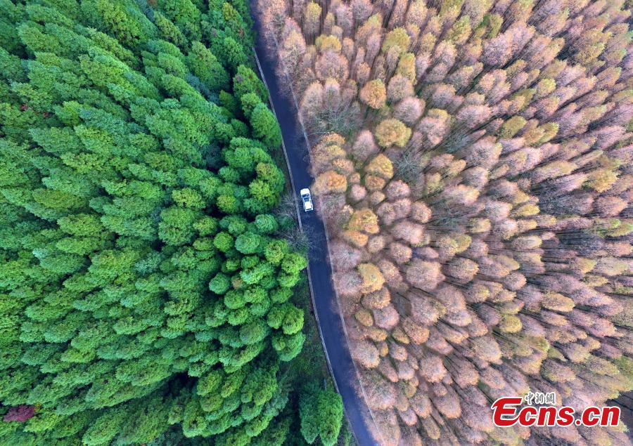 Winter scenery in Shanwangping Karst National Eco Park in SW China(5/12)