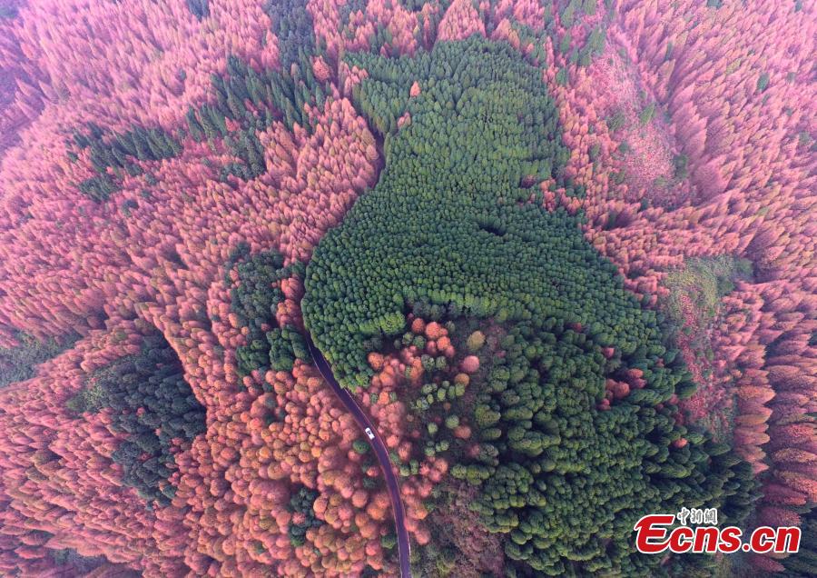 Winter scenery in Shanwangping Karst National Eco Park in SW China(3/12)