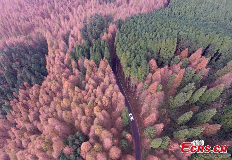 Winter scenery in Shanwangping Karst National Eco Park in SW China(2/12)