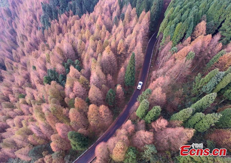 Winter scenery in Shanwangping Karst National Eco Park in SW China(5/12)