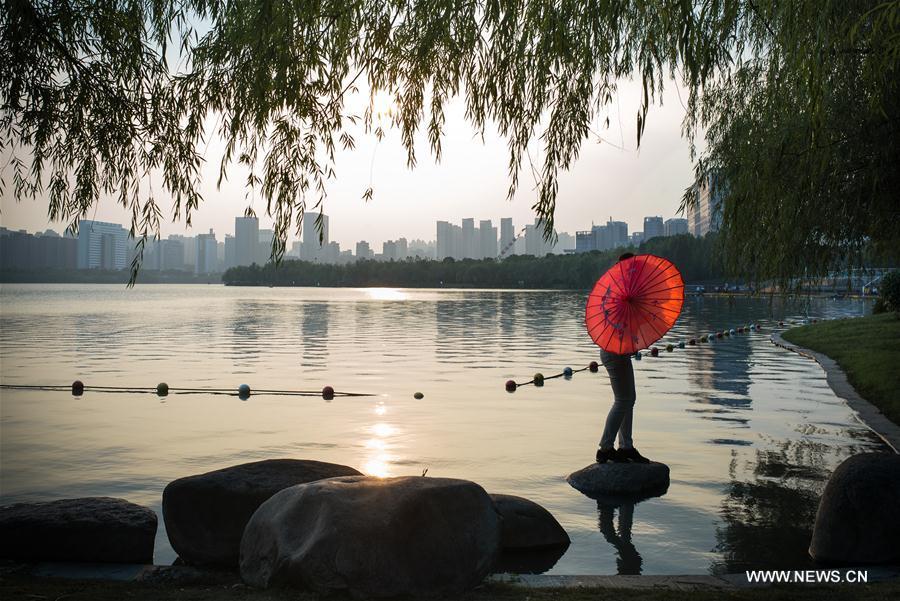 Swan Lake in Hefei, E China's Anhui (9/9)