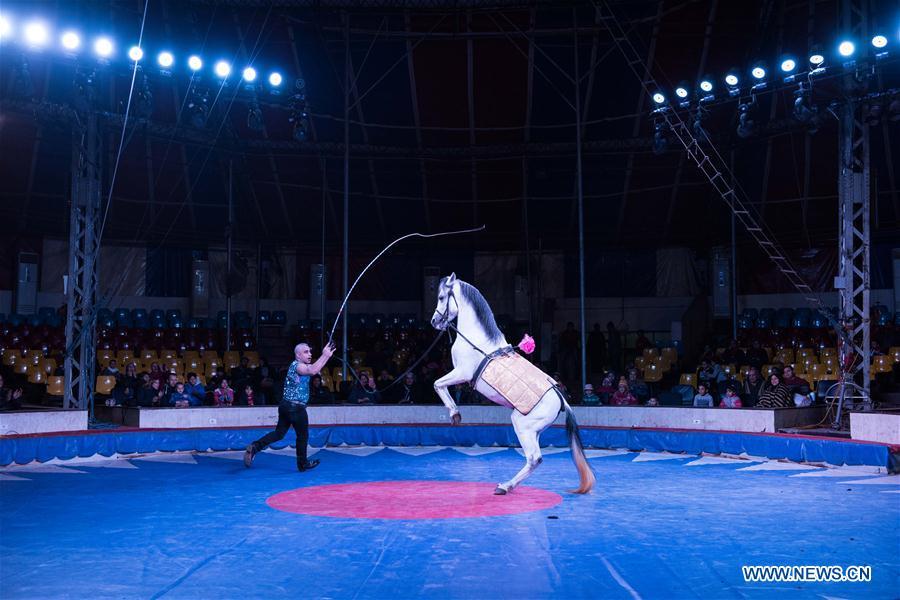 Picture story: Egyptian National Circus (1/5)