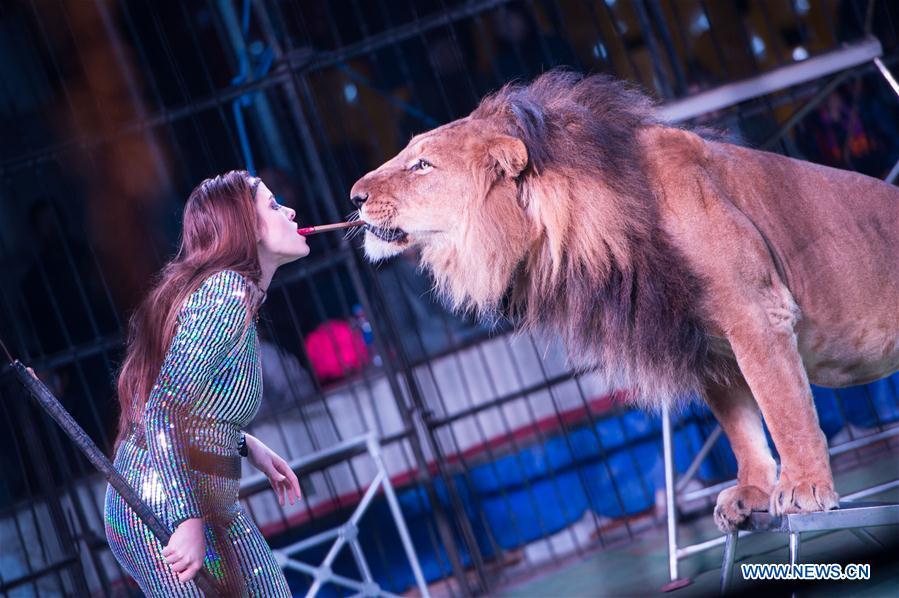 Picture story: Egyptian National Circus (1/5)