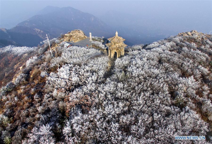 Rime scenery at Huaguo Mountain in Lianyungang, E China (3/4)