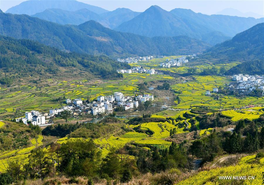 Spring scenery of Wuyuan County in east China (4/7)