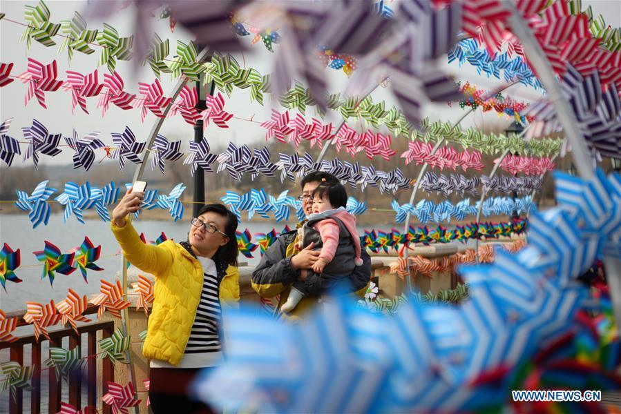 People view pinwheel decoration in NE China's Liaoning (3/5)