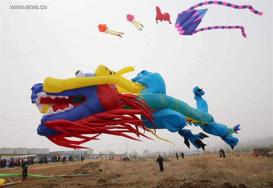 Kite competition held at Weifang in E China's Shandong(1/3)