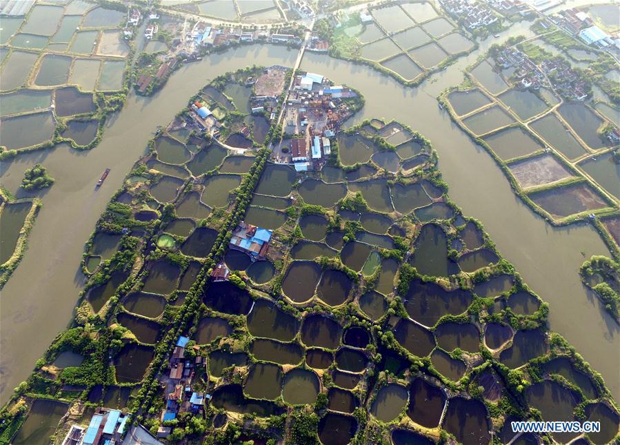 Mulberry fish ponds in E China's Zhejiang(2/4)