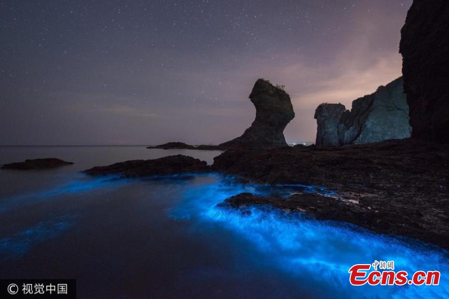 Sea turns fluorescent in Dalian