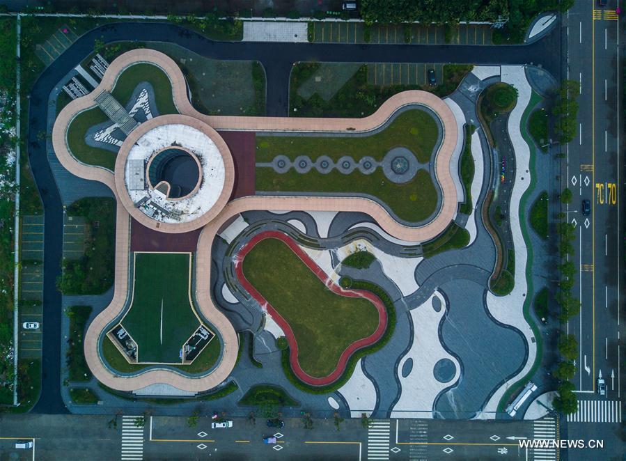 Output of pet industry of E China's Pingyang reaches 3 bln yuan in 2016 ...