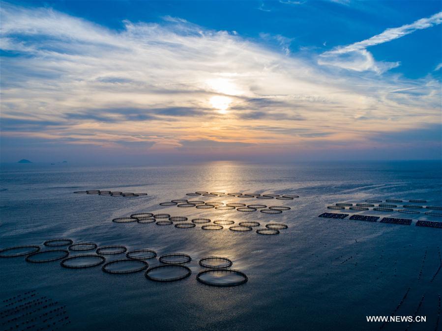 Scenery of Nanji islands in Zhejiang(1/13)
