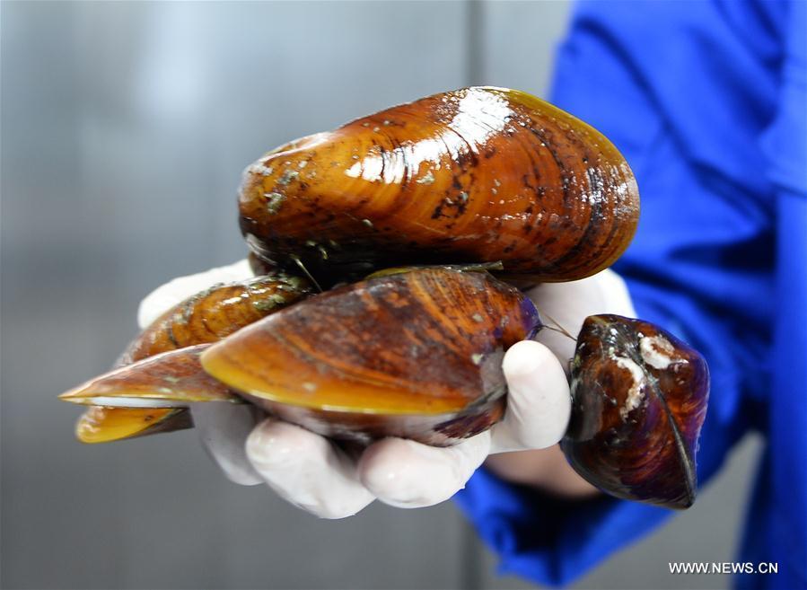 Chinese research vessel 'Kexue' conducts operation in South China Sea(2/6)
