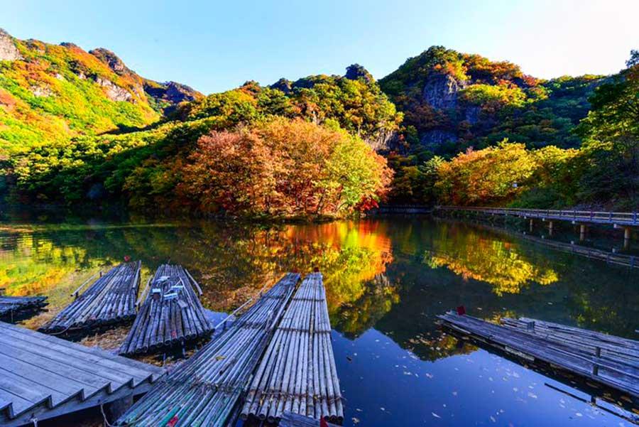 Beautiful maple leaves in Benxi(3/8)